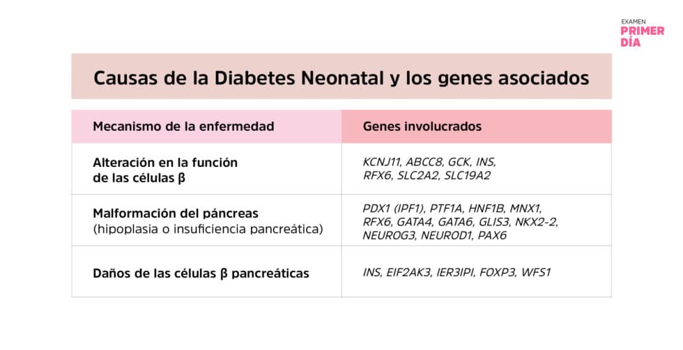 Diabetes Mellitus en recién nacido