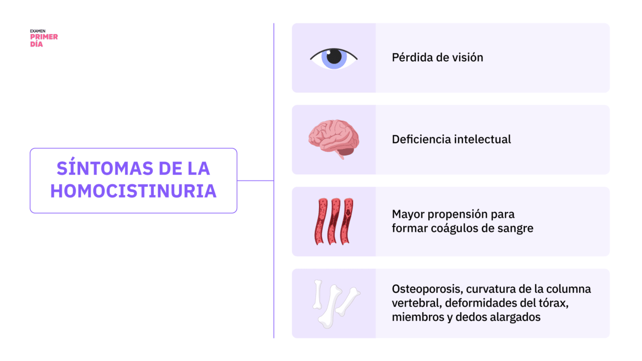 Homocistinuria: conozca más sobre esta enfermedad rara genética